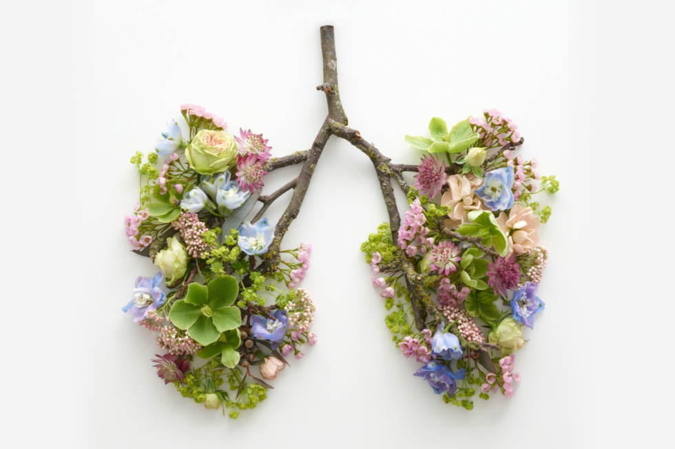 What is Breathwork? And Why Should You Care? | breathebetterlivebetter.com